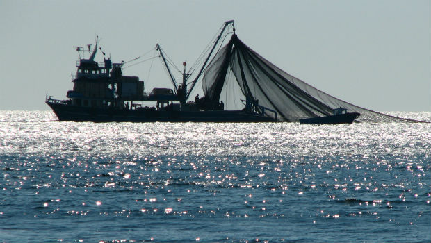 Un legge moderna per una pesca sostenibile e all'avanguardia: l'ha ...